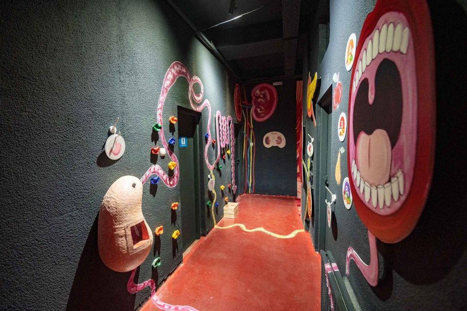 FOTO Cum arată Muzeul Copiilor din București, deschis publicului marți. Intrarea este gratuită ...